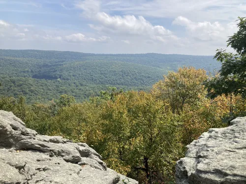 10 Best Hikes and Trails in Michaux State Forest | AllTrails