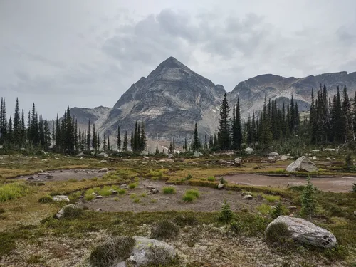 2023 Best Backpacking Trails in Valhalla Provincial Park | AllTrails