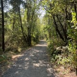 Cooper Mountain Trail, Oregon - 633 Reviews, Map | AllTrails