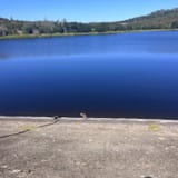 Canyon Trail to Spring Creek Trail Loop, California - 1,417 Reviews ...