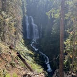 Linton Lake Trail, Oregon - 224 Reviews, Map | AllTrails