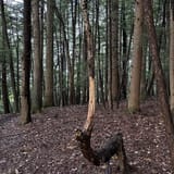 Big Spring Hollow Falls Trail, Ohio - 295 Reviews, Map | AllTrails