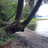 Lunch Falls Trail, Alaska - 68 Reviews, Map | AllTrails