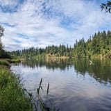 Molalla River State Park Trail, Oregon - 382 Reviews, Map | AllTrails