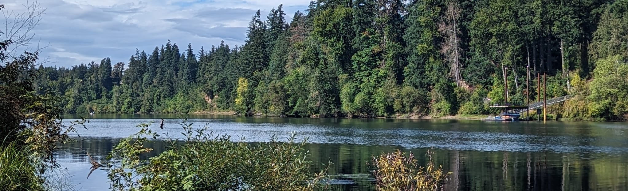 Molalla River State Park Trail, Oregon - 316 Reviews, Map | AllTrails