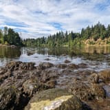 Molalla River State Park Trail, Oregon - 382 Reviews, Map | AllTrails