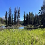 Moose Lake Loop, Alberta, Canada - 475 Reviews, Map | AllTrails