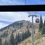 Crystal Mountain Loop, Washington - 621 Reviews, Map | AllTrails