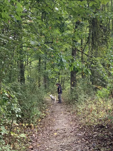 Best Hikes and Trails in Codorus State Park | AllTrails
