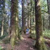 Cook's Ridge and Gwynn Creek Loop, Oregon - 718 Reviews, Map | AllTrails