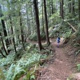 Cook's Ridge and Gwynn Creek Loop, Oregon - 718 Reviews, Map | AllTrails