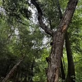 Big Spring Hollow Falls Trail, Ohio - 295 Reviews, Map | AllTrails