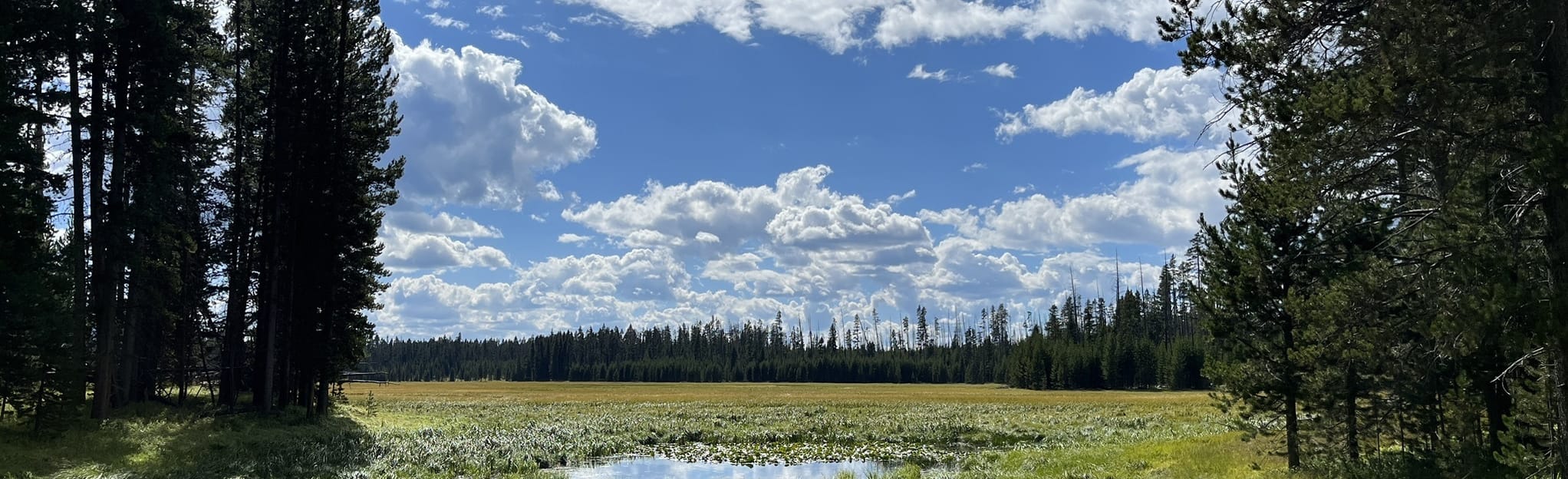 Riddle Lake Trail, Montana - 147 Reviews, Map | AllTrails