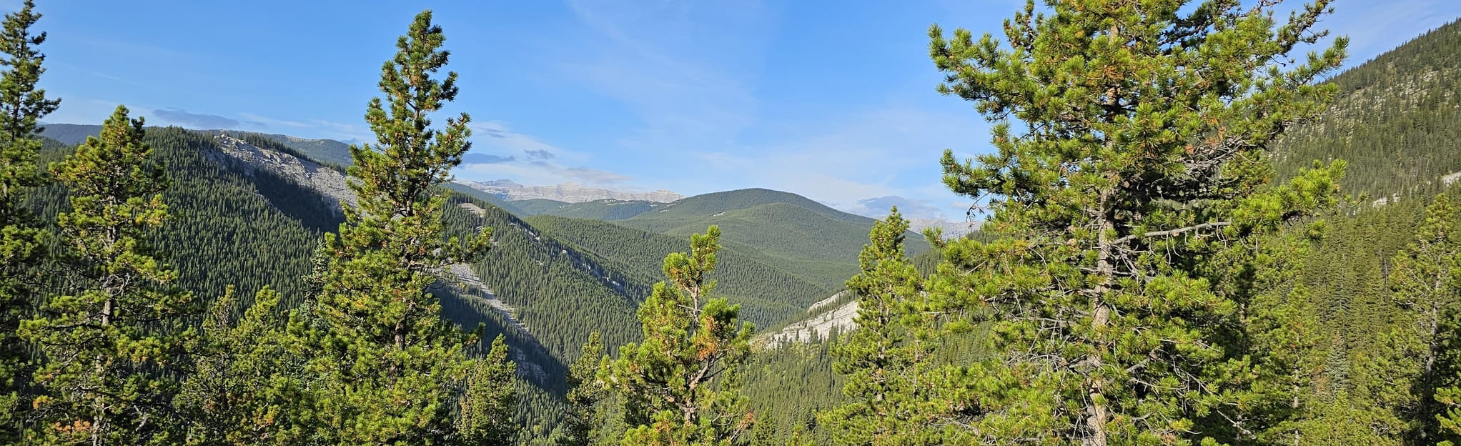 Prairie Mountain Trail - Prairie Creek Trail, Alberta, Canada - 1,361 ...