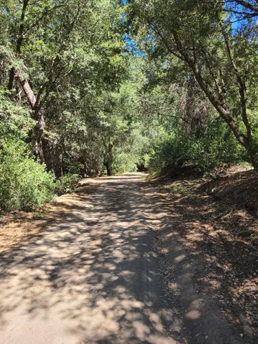 Best Hikes and Trails in Idyllwild | AllTrails