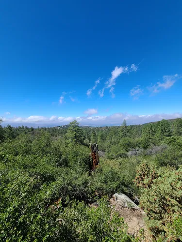 Best Hikes and Trails in Idyllwild | AllTrails