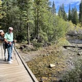 Widow Maker Trail, Alberta, Canada - 24 Reviews, Map | AllTrails