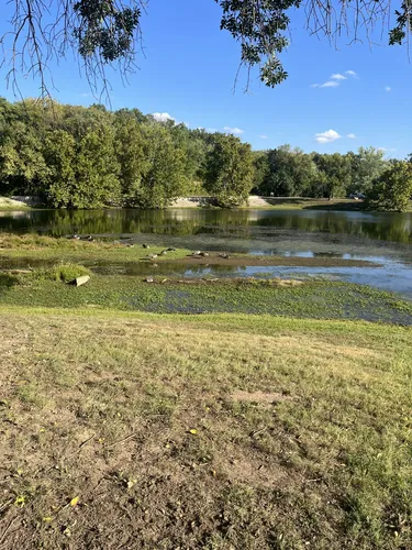 Lion's Lake/ Culp Park : les meilleures randonnées et itinéraires à ...