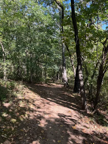 Best Hikes and Trails in Lion's Lake/ Culp Park | AllTrails