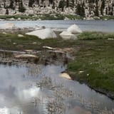 Chicken Spring Lake via Cottonwood Pass Trail, California - 422 Reviews ...