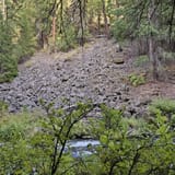 West Metolius River Trail, Oregon - 701 Reviews, Map | AllTrails