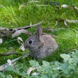 Westerfolds Park Circuit, Victoria, Australia - 376 Reviews, Map ...