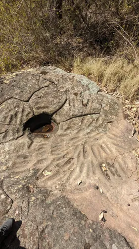 Best Hikes and Trails in Cattai National Park | AllTrails