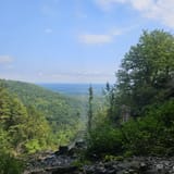 Escarpment Trail, New York - 800 Reviews, Map | AllTrails