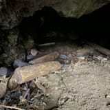 Peg Leg Mine Trail, Tennessee - 165 Reviews, Map | AllTrails