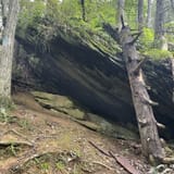 Peg Leg Mine Trail, Tennessee - 165 Reviews, Map | AllTrails