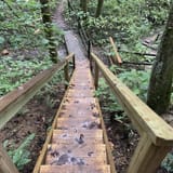 Peg Leg Mine Trail, Tennessee - 165 Reviews, Map | AllTrails