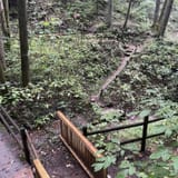 Peg Leg Mine Trail, Tennessee - 165 Reviews, Map | AllTrails