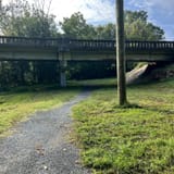 Deep River Nature Trail, North Carolina - 124 Reviews, Map | AllTrails