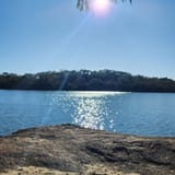 Manly Dam Loop, New South Wales, Australia - 896 Reviews, Map | AllTrails