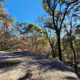 Manly Dam Loop, New South Wales, Australia - 896 Reviews, Map | AllTrails