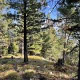 Camas Lake Trail, Montana - 286 Reviews, Map | AllTrails