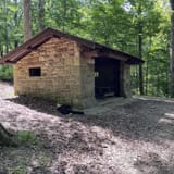 Martin State Forest Loop, Indiana - 50 Reviews, Map | AllTrails