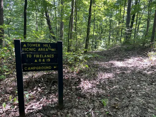 Best Hikes and Trails in Martin State Forest--Indiana | AllTrails