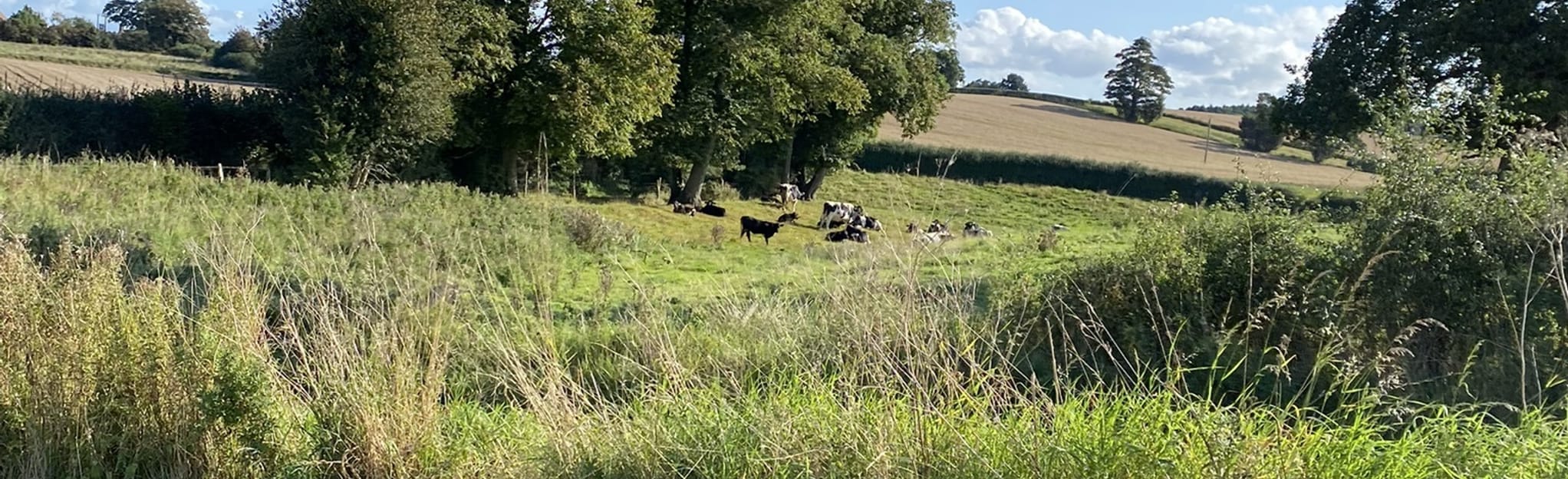 Terringyon and Sheriff Hutton Circular, North Yorkshire, England - 16 ...