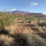 Prospector Trail, Utah - 69 Reviews, Map | AllTrails