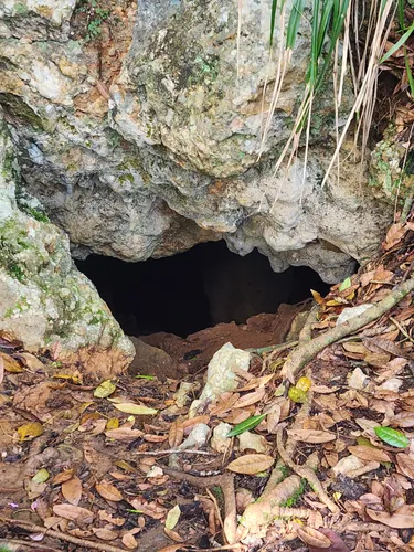 Los mejores senderos y rutas en Bosque Estatal de Guajataca | AllTrails