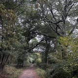 Dial Post - Shipley Circular, West Sussex, England - 187 Reviews, Map ...