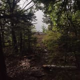 Copple Crown Mountain, New Hampshire - 574 Reviews, Map | AllTrails