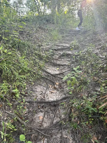 Best Hikes and Trails in Rye Preserve | AllTrails