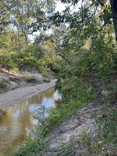 Best Hikes and Trails in Rye Preserve | AllTrails