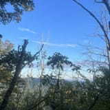 Three Ridges Trail, Virginia - 912 Reviews, Map | AllTrails