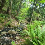 Mercer Slough Nature Park, Washington - 846 Reviews, Map | AllTrails