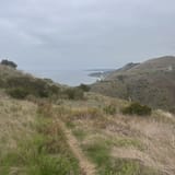 Corral Canyon Loop, California - 1,589 Reviews, Map | AllTrails