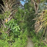 Loop Road Scenic Drive (County Road 94), Florida - 145 Reviews, Map ...