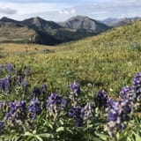 Four Pass Loop, Colorado - 1,790 Reviews, Map | AllTrails